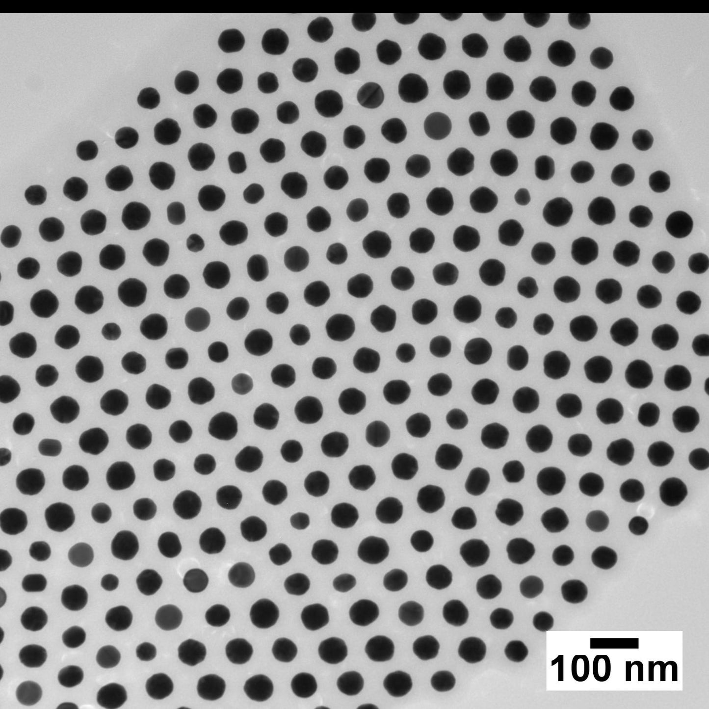 50 nm Gold Nanospheres – nanoComposix