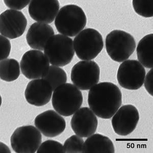 50 nm Gold Nanospheres – nanoComposix